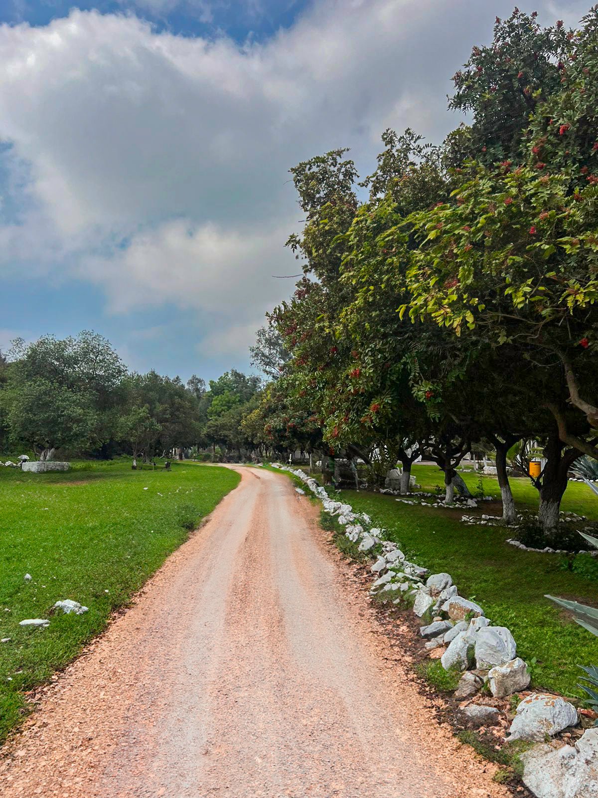 Inicio - Rancho Life